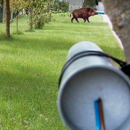 KEMO M161 animals pulse generator | TSS GROUP